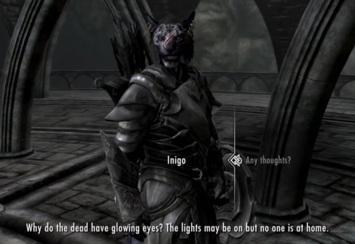 Inigo asking the real questions (awesome modded follower for Skyrim) - 9GAG