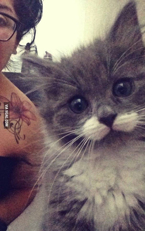 Handsome stache! - 9GAG