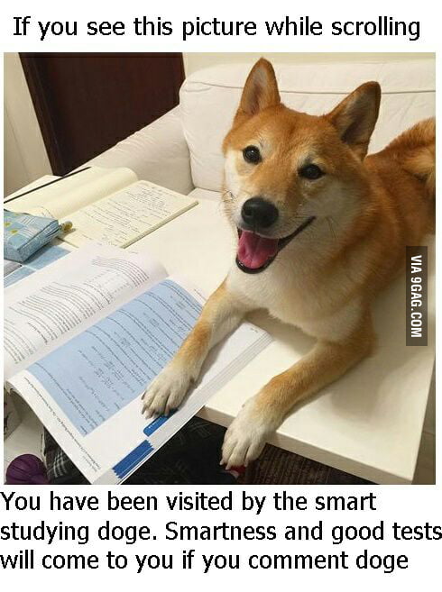 Smart doge - 9GAG