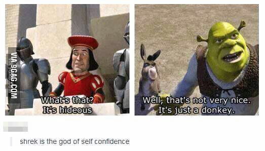 Shrek is the god of self confidence - 9GAG