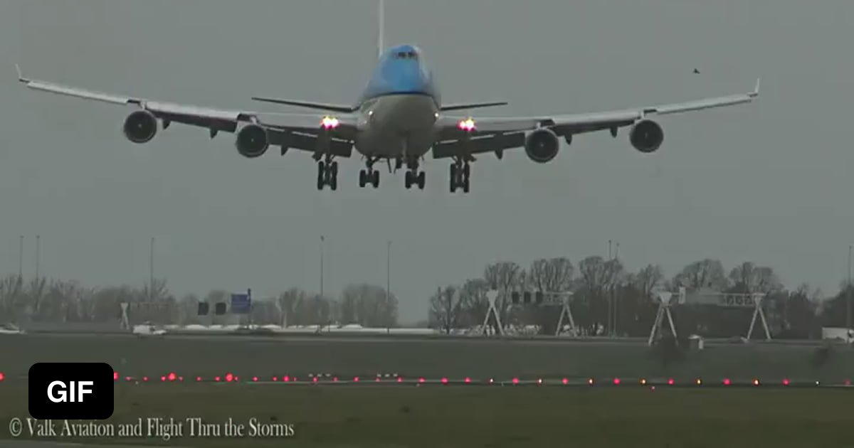 Boeing 747 hits a bird - 9GAG