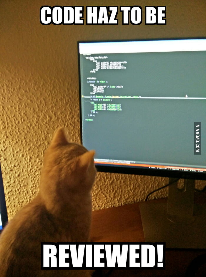 My cat actually helps me coding - 9GAG