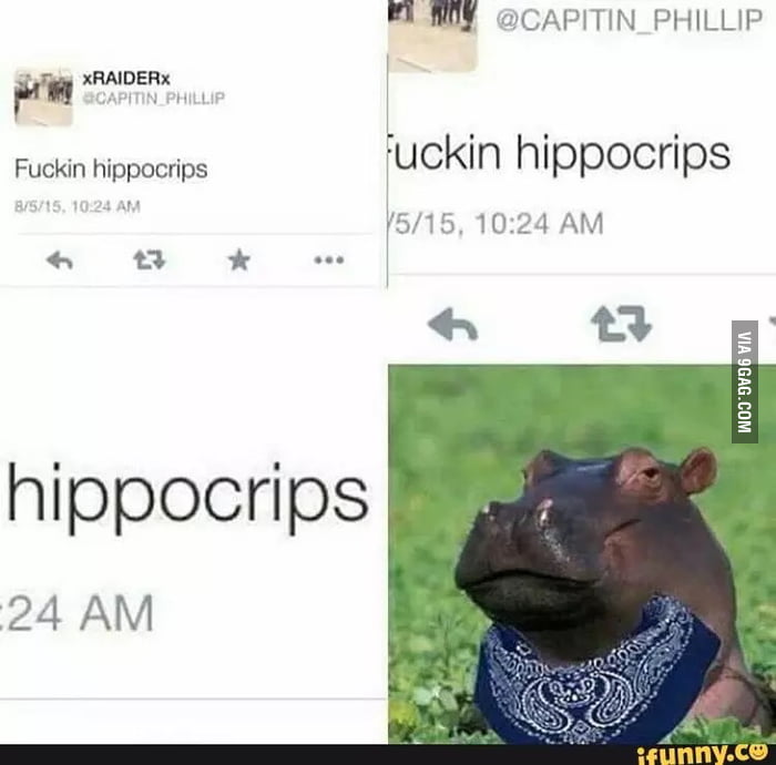 Hippo crips! - 9GAG
