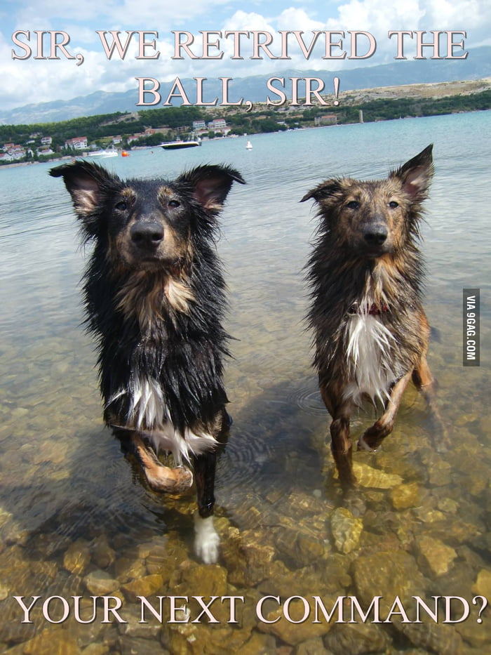 Sir, yes, sir! - 9GAG