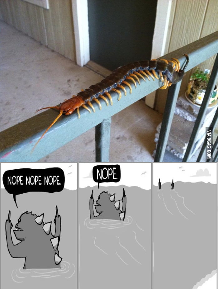 Nope, Nope, Nope... - 9GAG