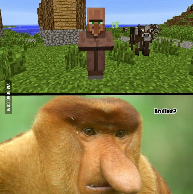 Villager in Real Life - 9GAG