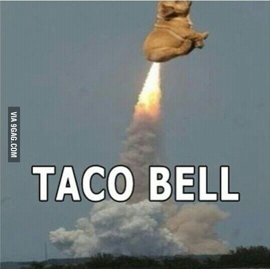 No caption needed - 9GAG