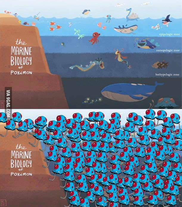 Pokemon's Marine Biology (Reality) - 9GAG