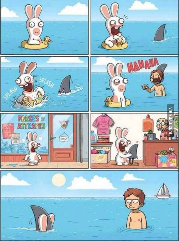 The Bunny Shark - 9GAG