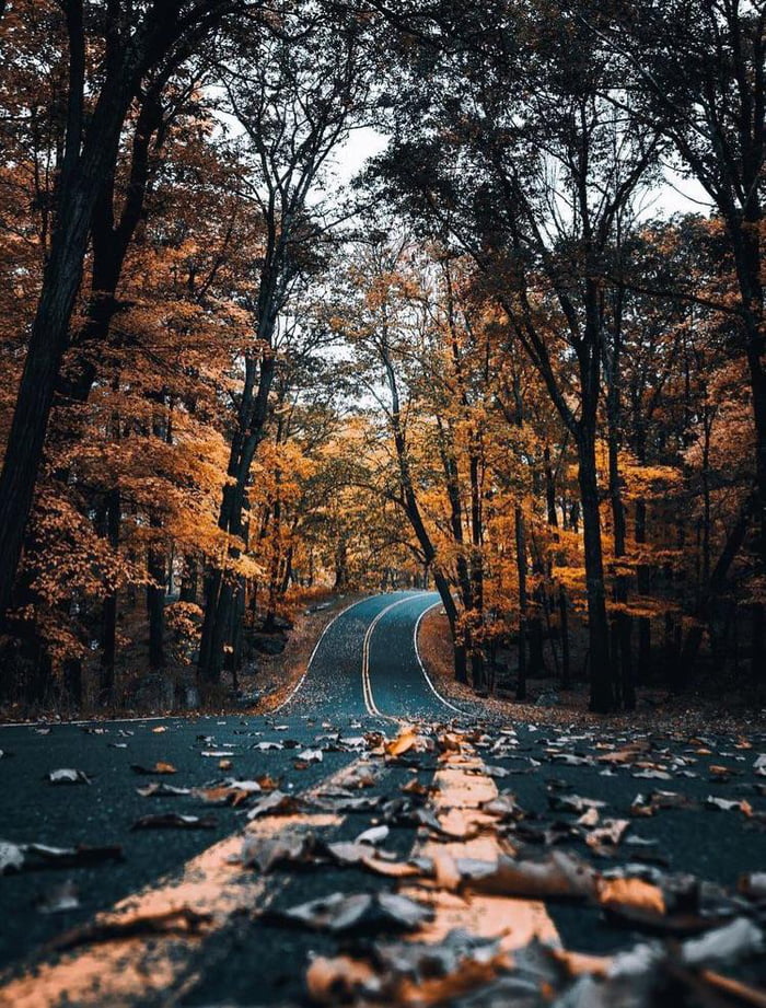 This Backroad During the Fall - 9GAG