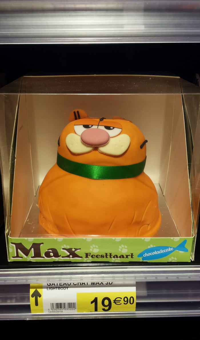 When you wanna make a Garfield cake but it's so bad you just call it Max - 9GAG