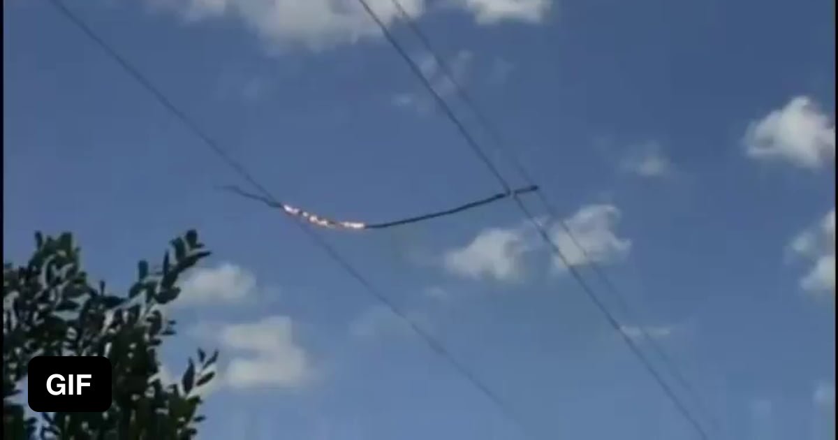 What happens when Tree Branch Falls on Power Lines ! - 9GAG