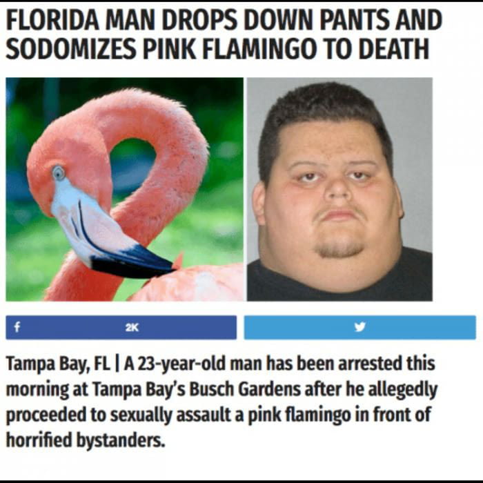 Florida man does what they do best - 9GAG