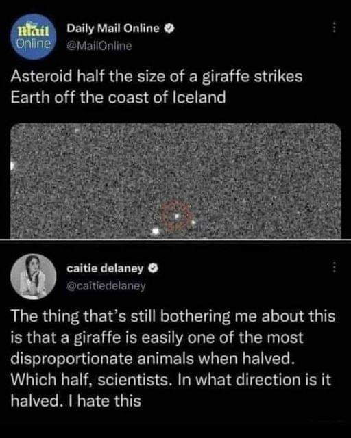 Upper or lower half? - 9GAG