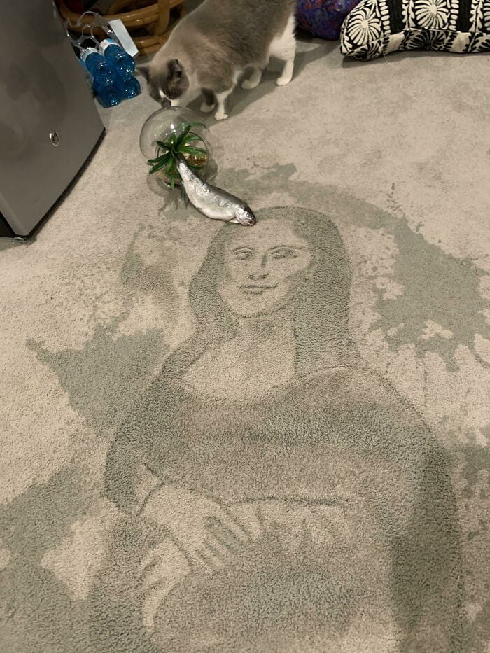 The Cat Knocked Over The Fish Bowl And It Looks Oddly Like The Mona ...