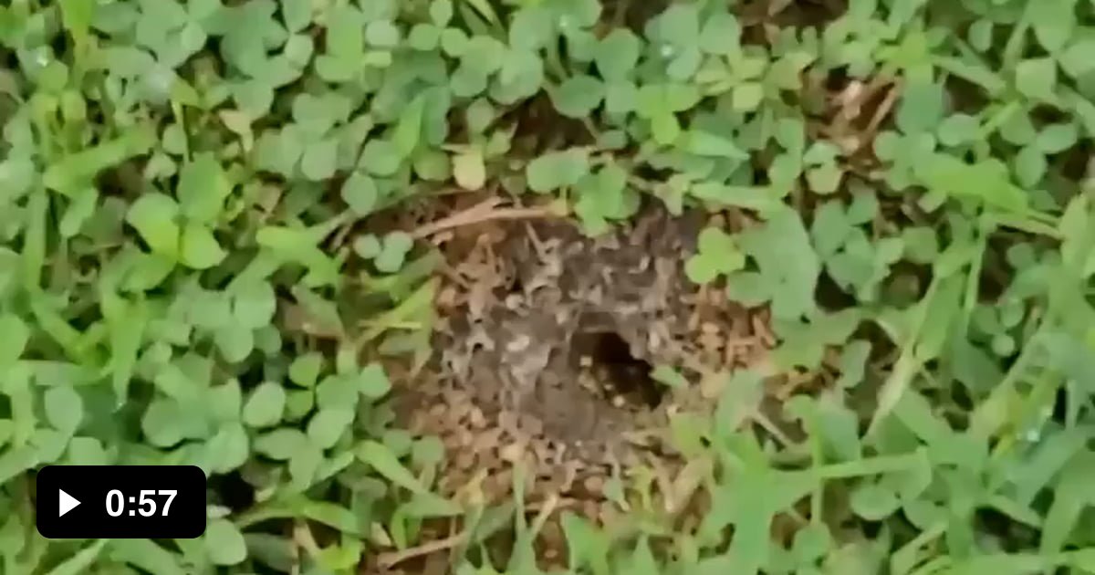 Spawn camping sure is nice - 9GAG