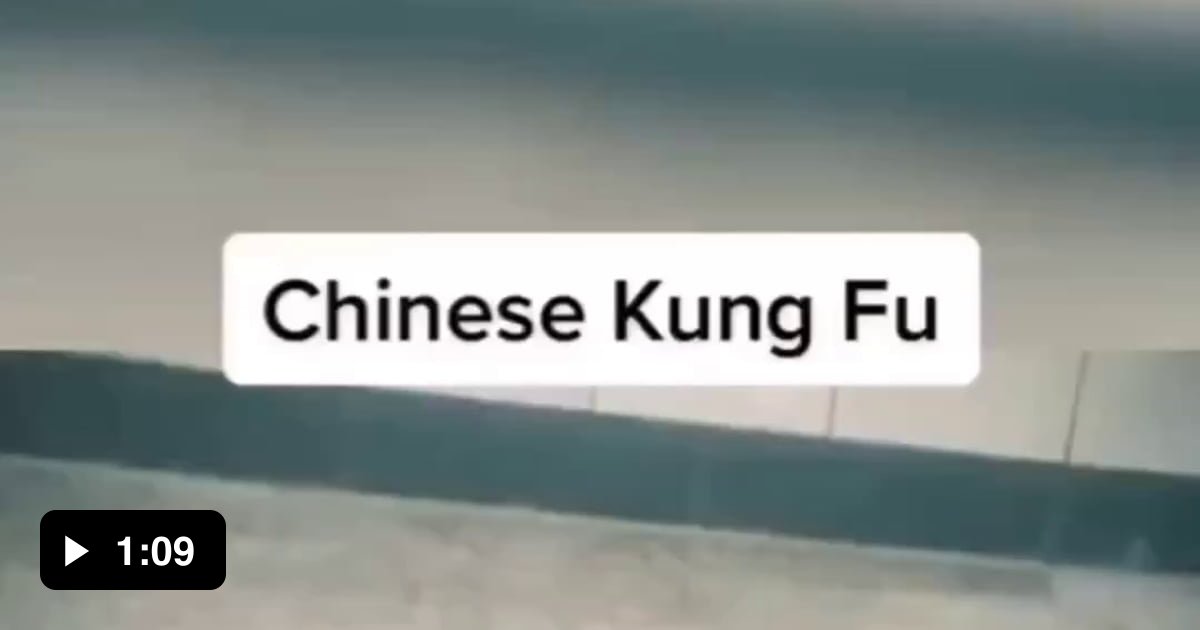 Kung fu cats - 9GAG