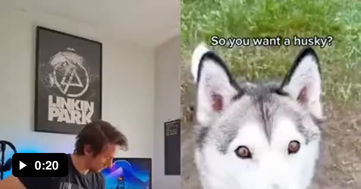 Trash Metal Husky - 9GAG