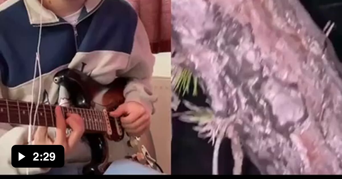 It's Wednesday my dudes ( credit to MiMo) - 9GAG