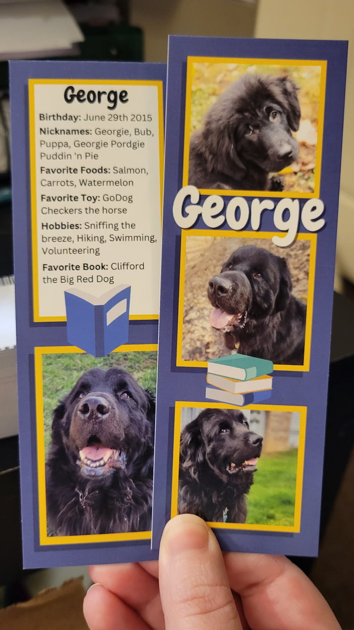 therapy-dog-bookmarks-9gag