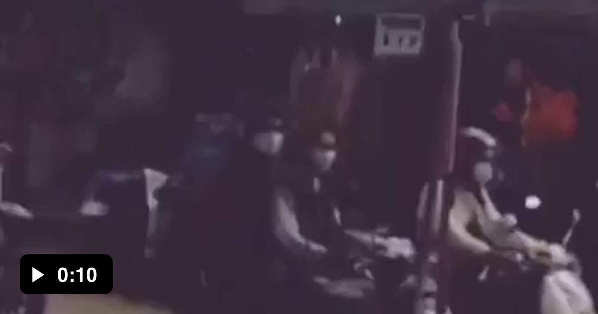 This monkey is insane! - 9GAG