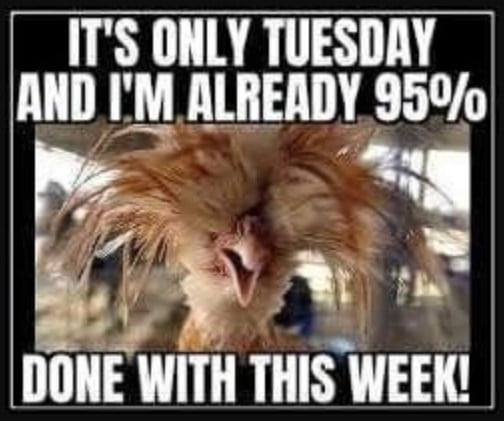 Tuesday humor - 9GAG