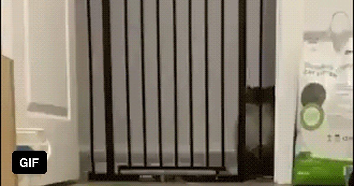 Perfect landing 10/10 - 9GAG