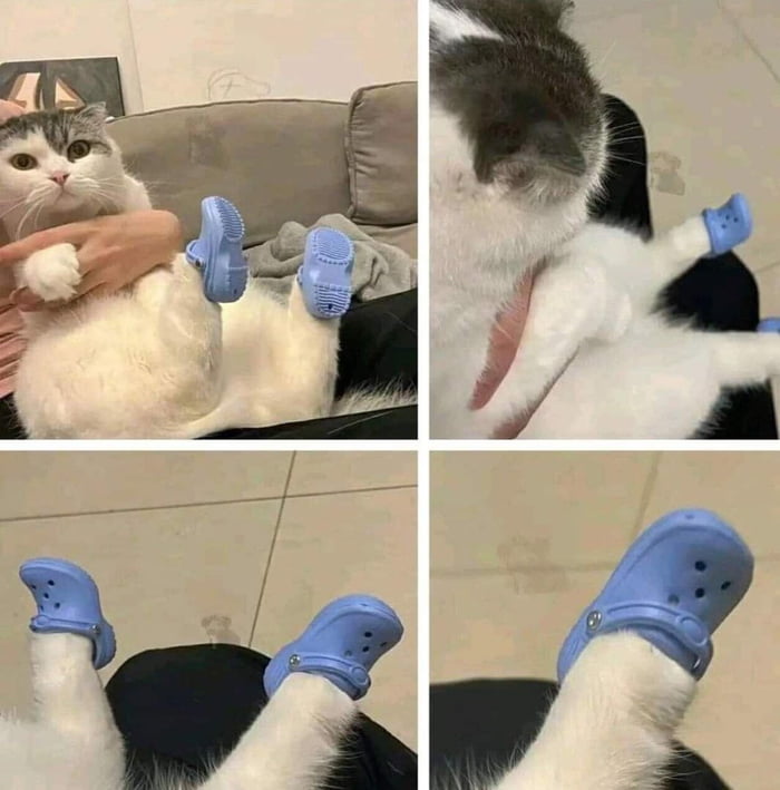 Reason number one to have a cat - 9GAG