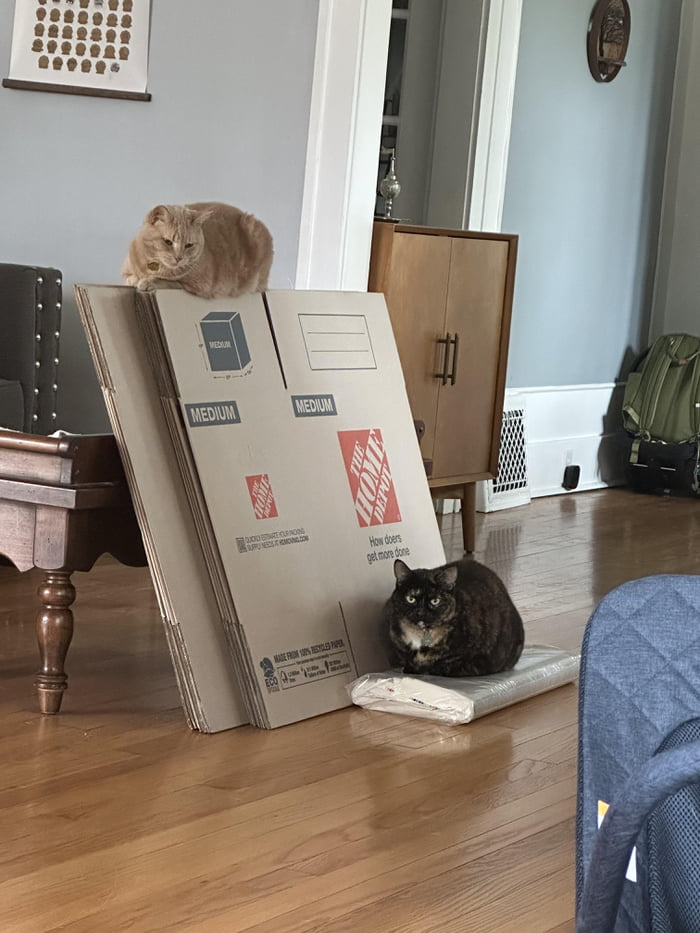 Local moving crew inspecting their supplies - 9GAG