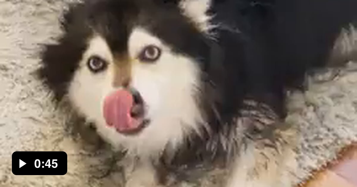 Keanu’s post bath song. - 9GAG