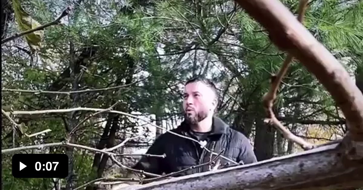 Mocking Bird! - 9GAG