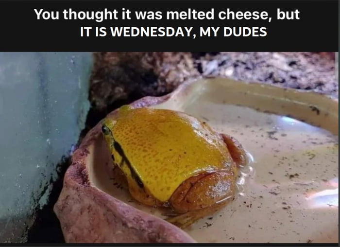 Wednesday - 9GAG
