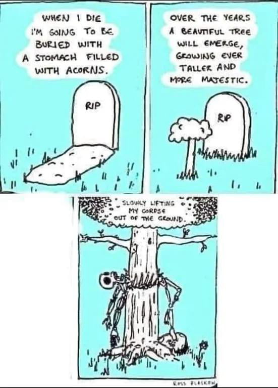 Tree lifting ashes out of ground - 9GAG