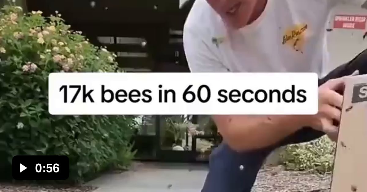 Save the bees - 9GAG