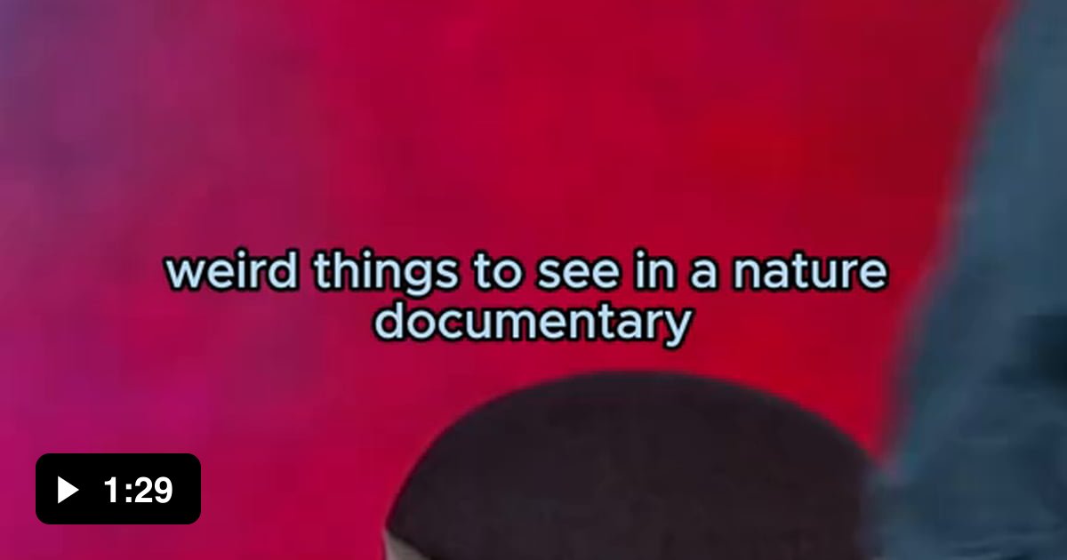 What is Barneys brother doing there? - 9GAG