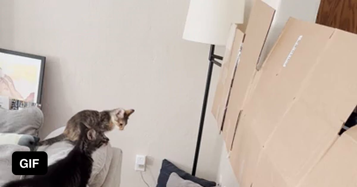 Angry criminal attempts to breach new security system. - 9GAG