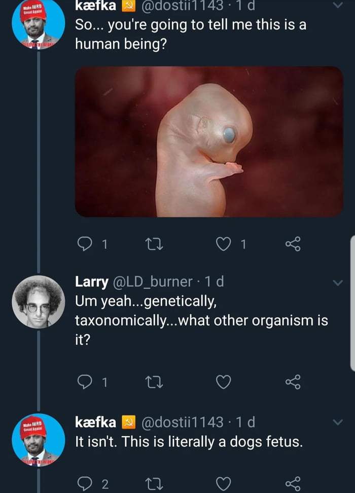 Dogs and humans look alike? - 9GAG