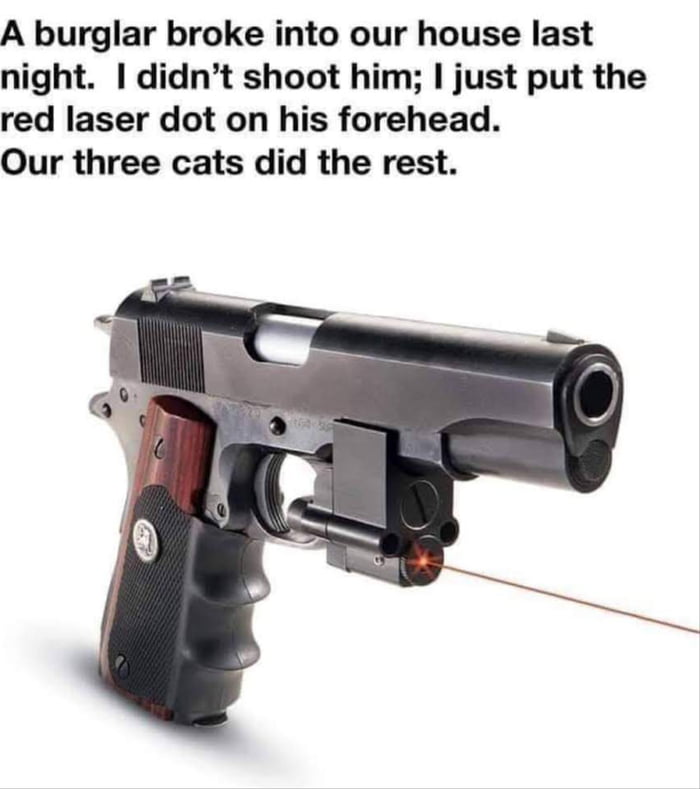 Here kitty kitty - 9GAG