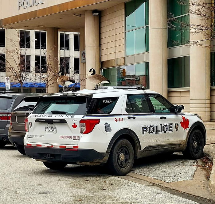 Canadian Security at its finest - 9GAG