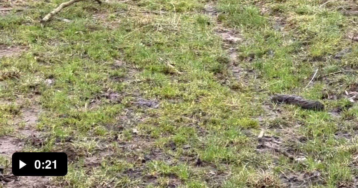 Friday incoming - 9GAG