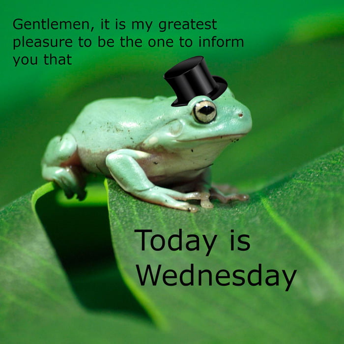 When it is wednesday and noone so far let my dudes know - 9GAG