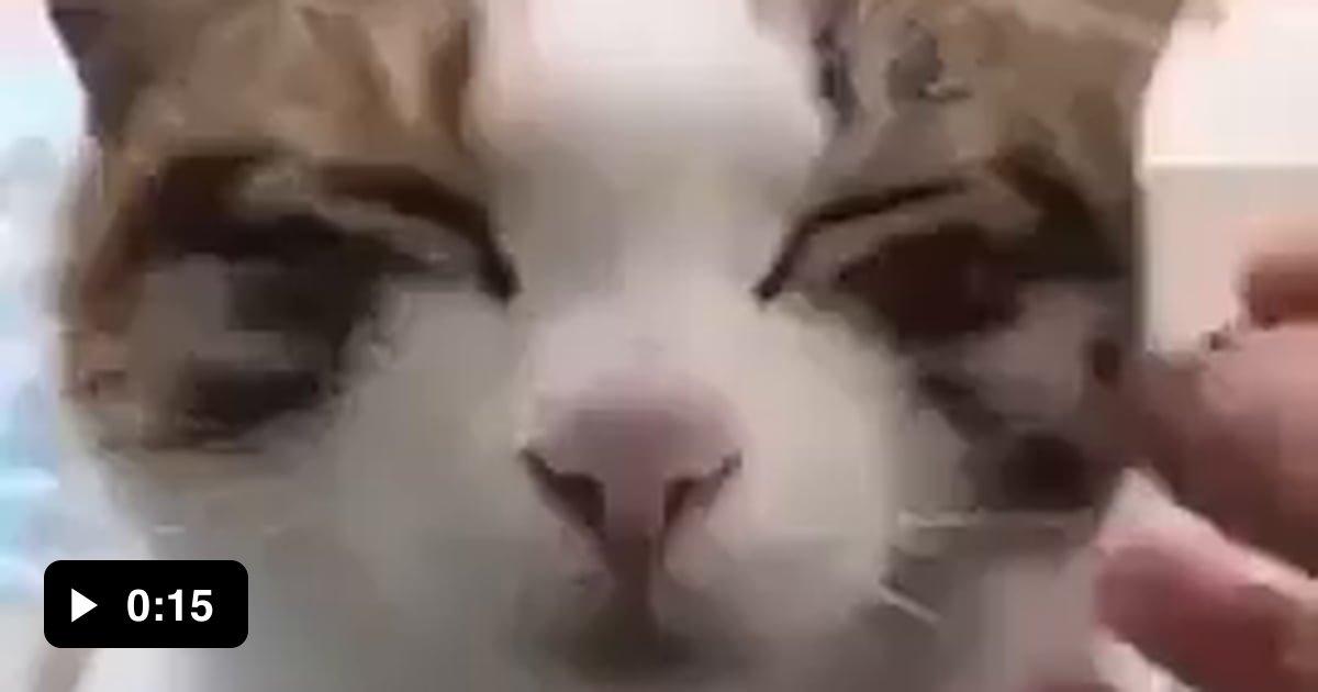 Oh no, she accidentally hit the off button - 9GAG