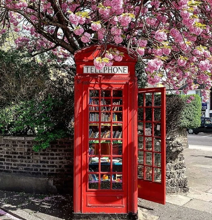 This little library in the telephone booth.. - 9GAG