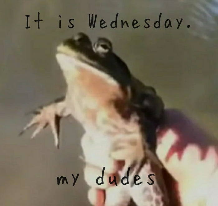 Its wednesday my dudes - 9GAG