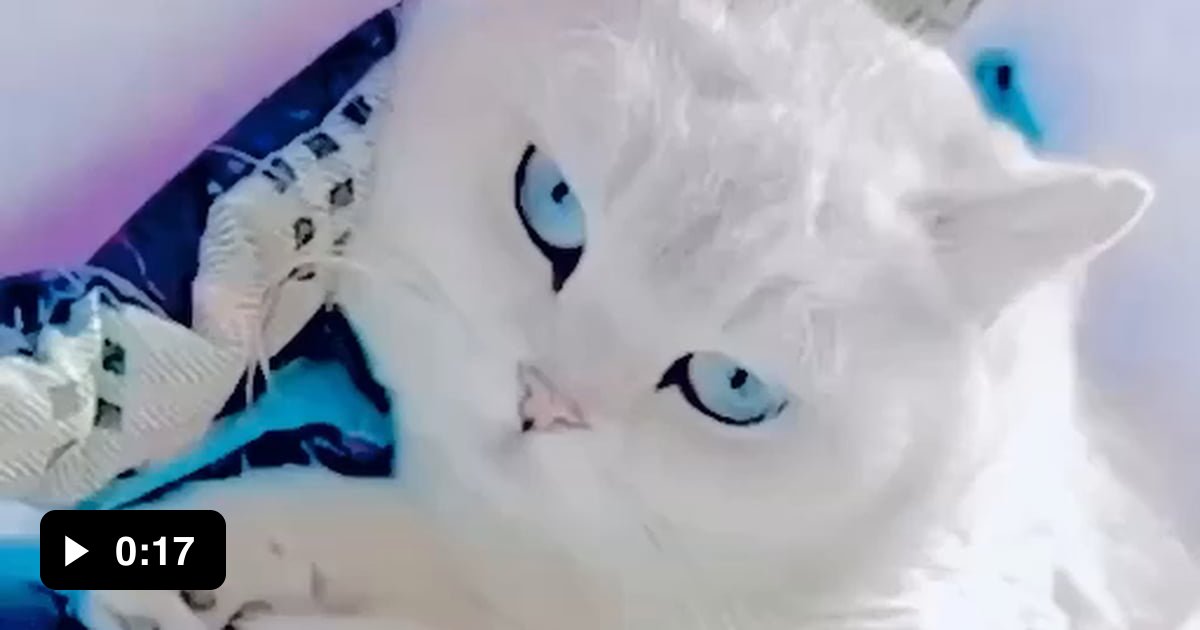 Those Eyes 9gag