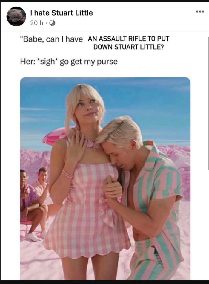 I hate Stuart Little - 9GAG