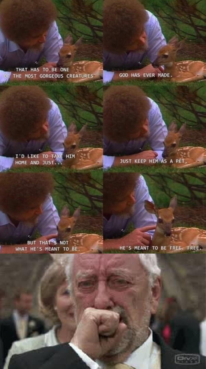 Bob Ross, the Bringer of Tears - 9GAG
