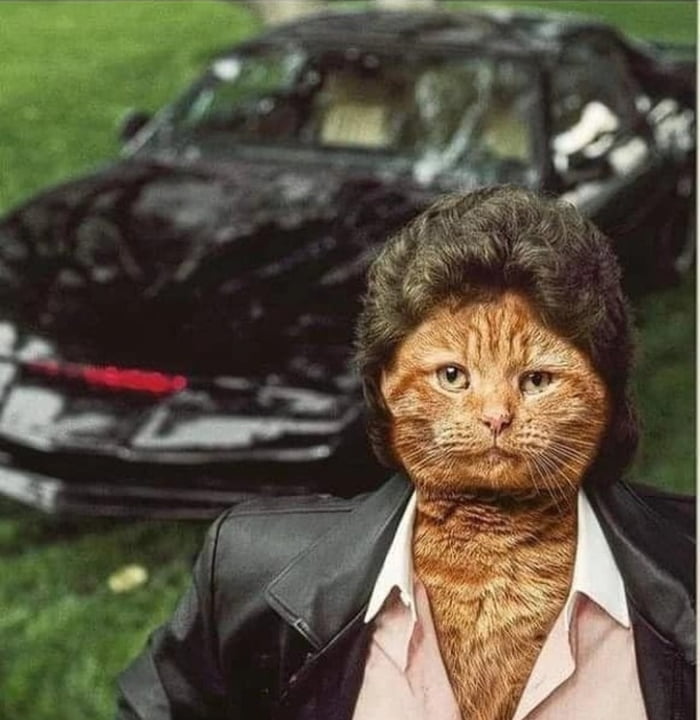 David Catselhoff - 9GAG