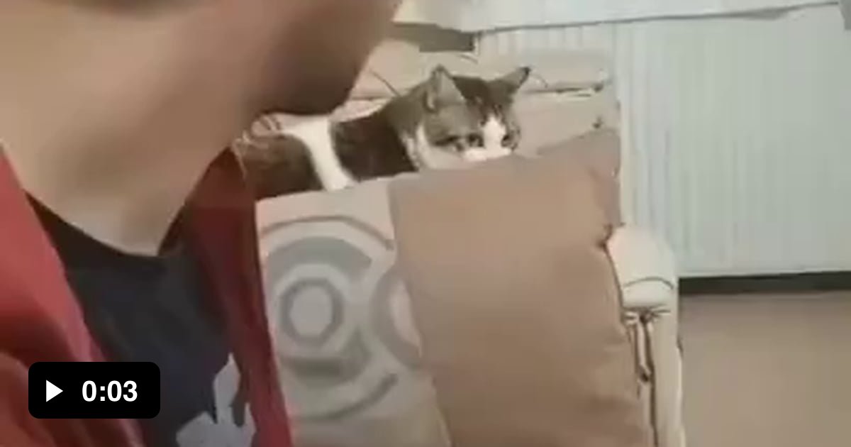 TF you are looking at... - 9GAG