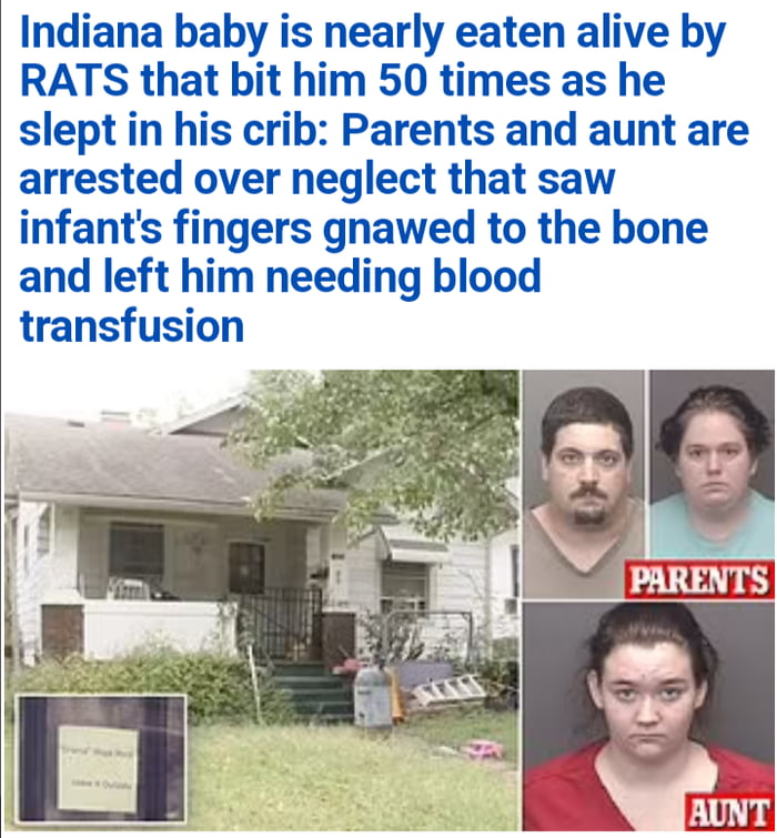 Throw the book at these rat turd adults - 9GAG